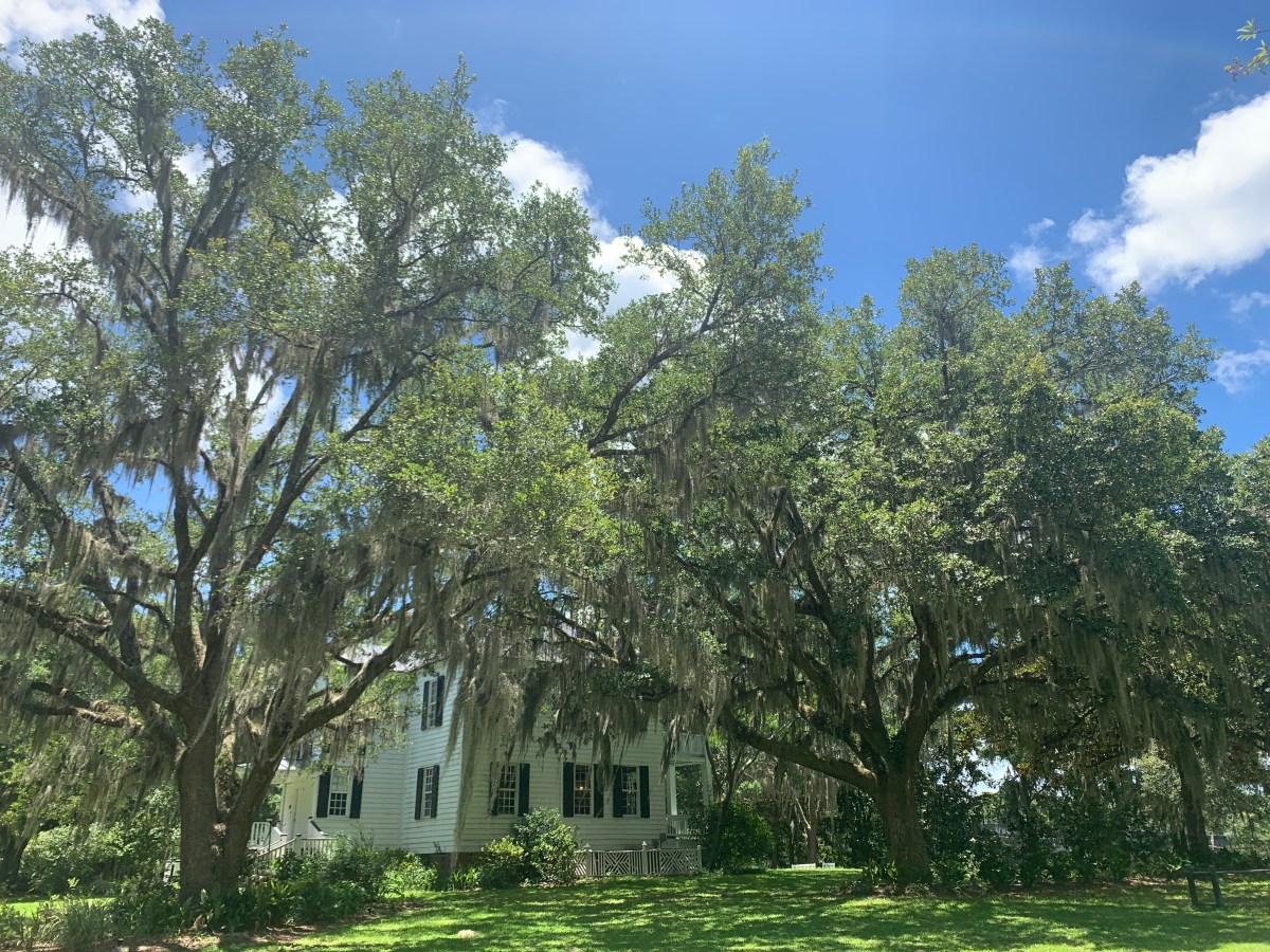My Visit to the Hopsewee Plantation in South Carolina – Milam's Musings