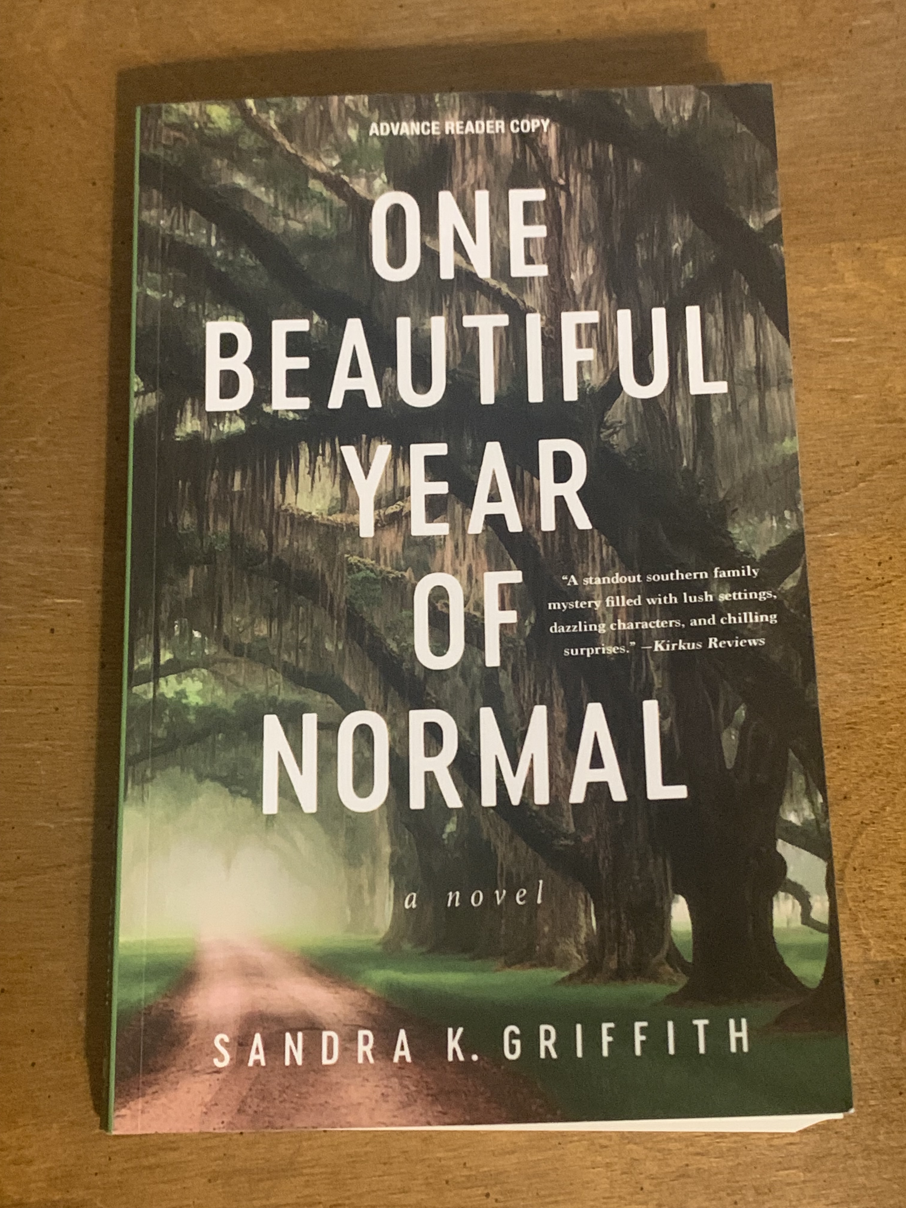 Book Review: One Beautiful Year of Normal – Milam's Musings